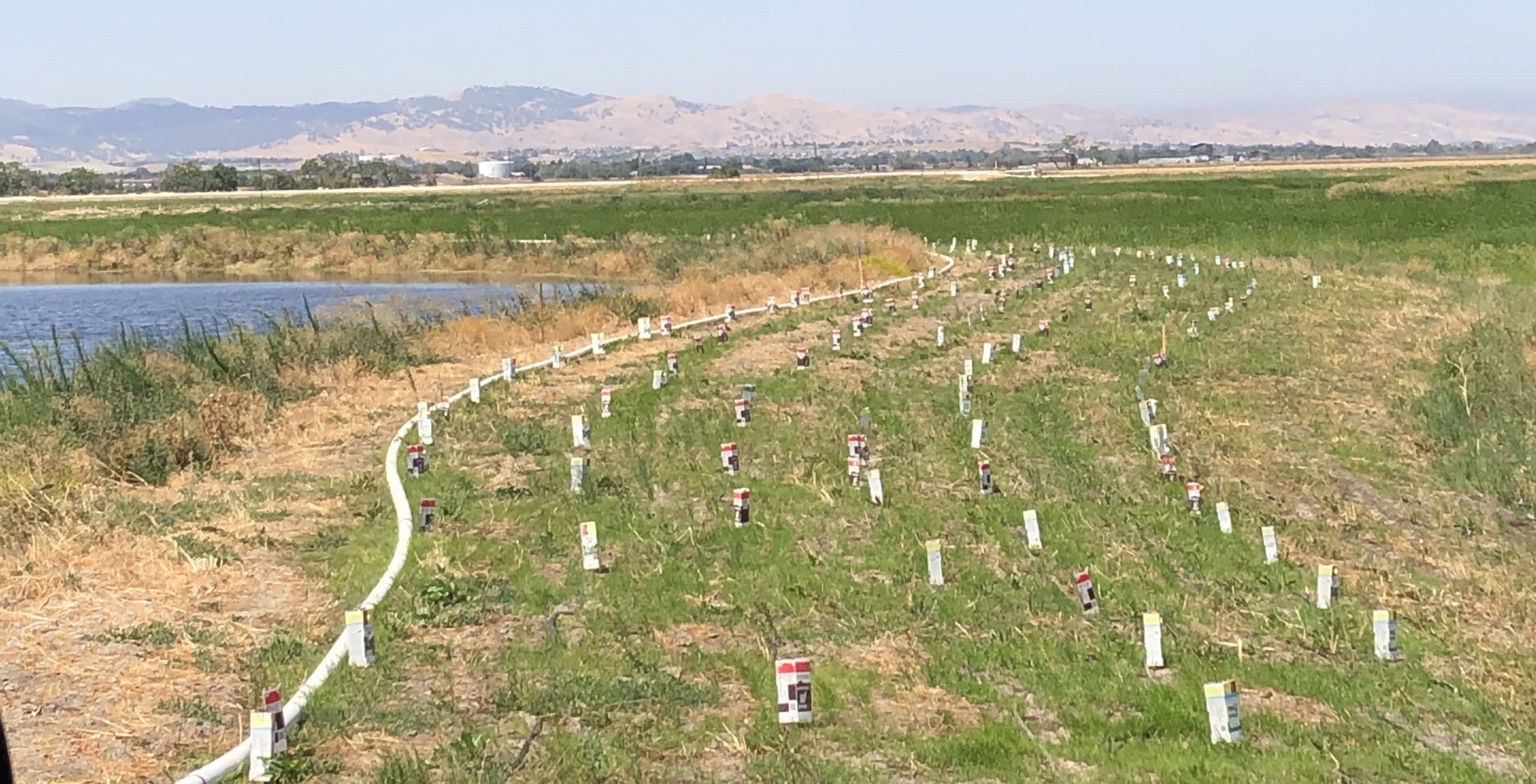 Dutch Slough Laboratory – Estuary News Magazine