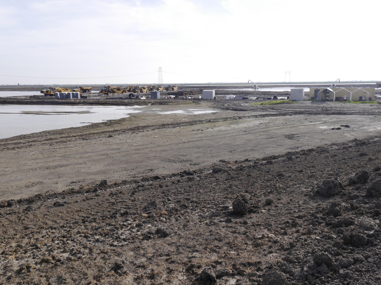 Lookout Slough Restoration will be the Delta’s Largest Yet – Estuary ...