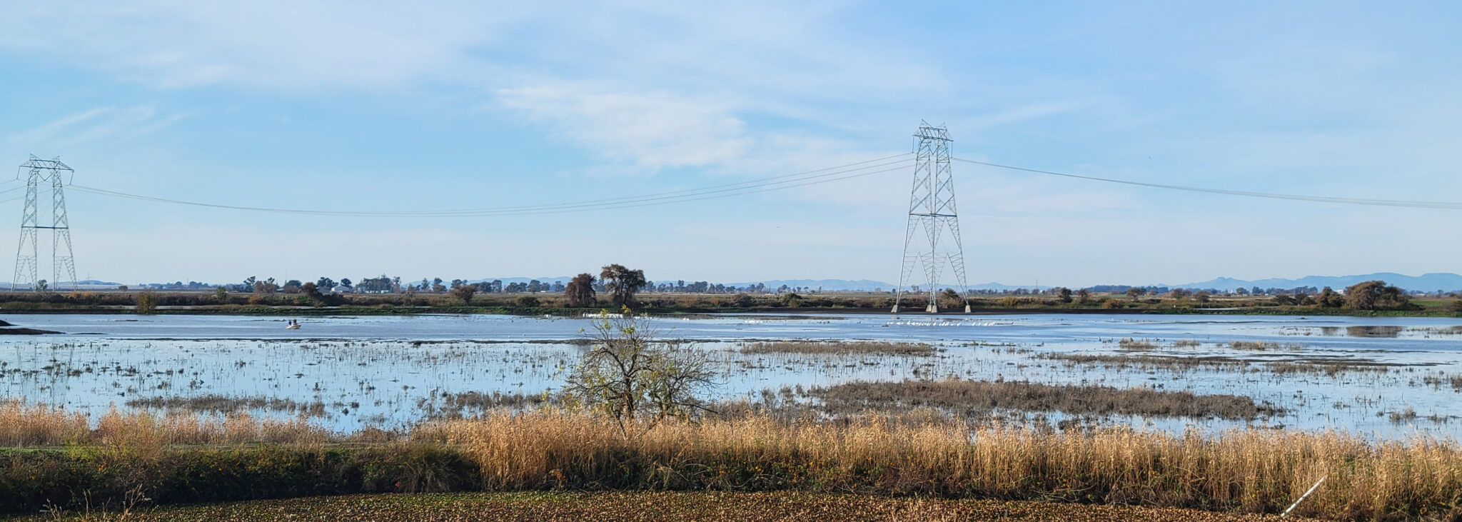 Lookout Slough Restoration will be the Delta’s Largest Yet – Estuary ...